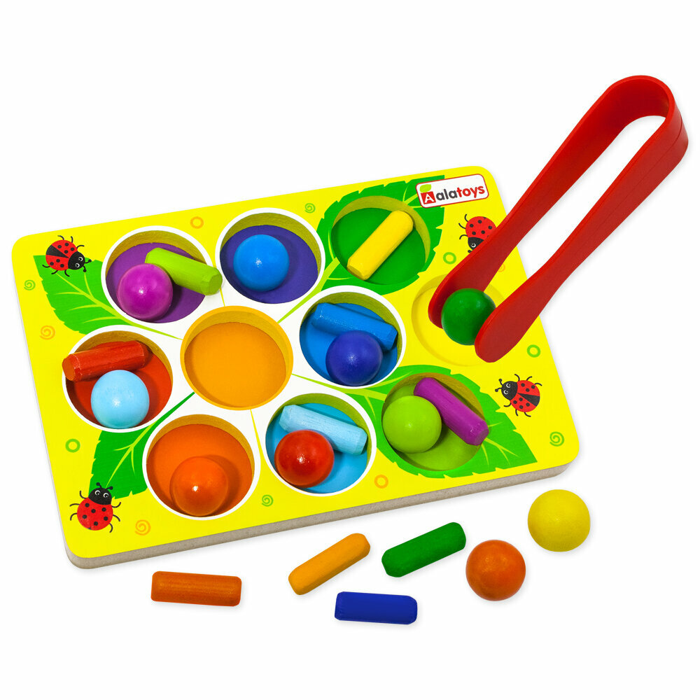 Цветная поляна Сортер с пинцетом