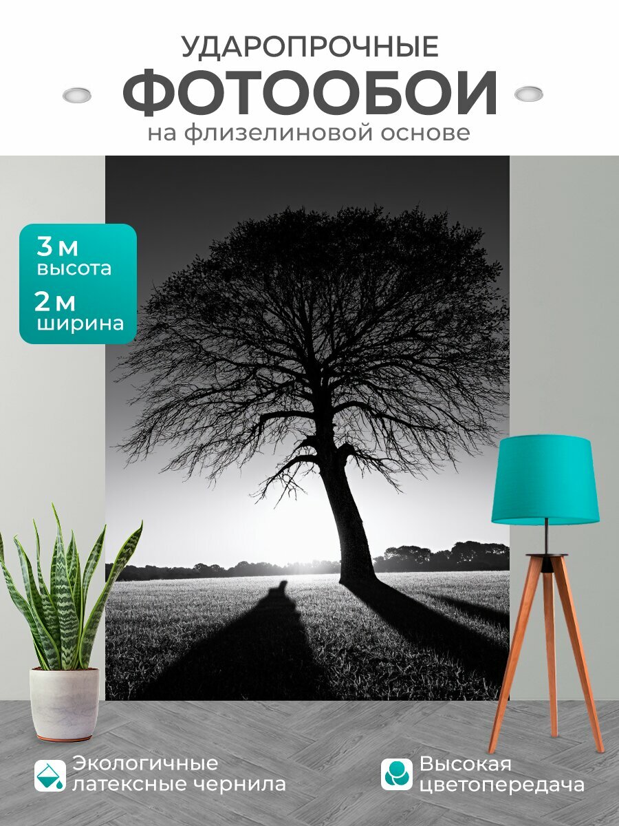 Фотообои моющиеся ударопрочные "Одинокое дерево на западе с растяжением длинных теней, изображение в технике черно-белой фотографии, акцент на текстурах" 200x300 см. флизелиновые на стену