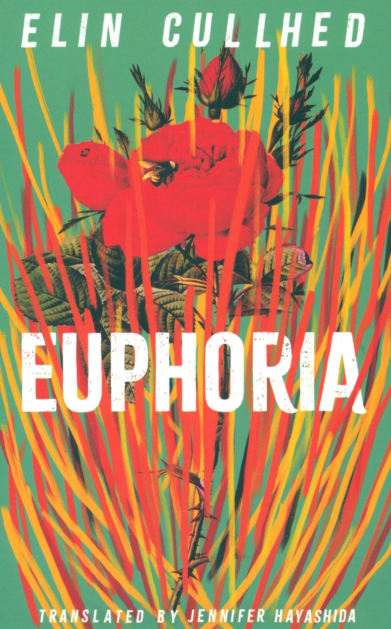 Euphoria / Книга на Английском