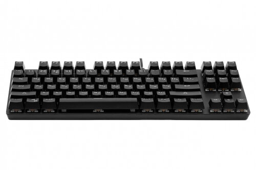 Клавиатура Rapoo V500ALLOY проводная черный (V500ALLOY)
