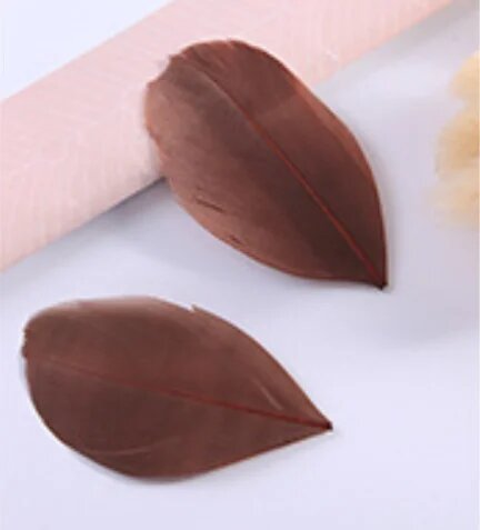 Гусиное перо 4-8 см, 50 шт, разноцветное Коричневый, coffee 50pcs