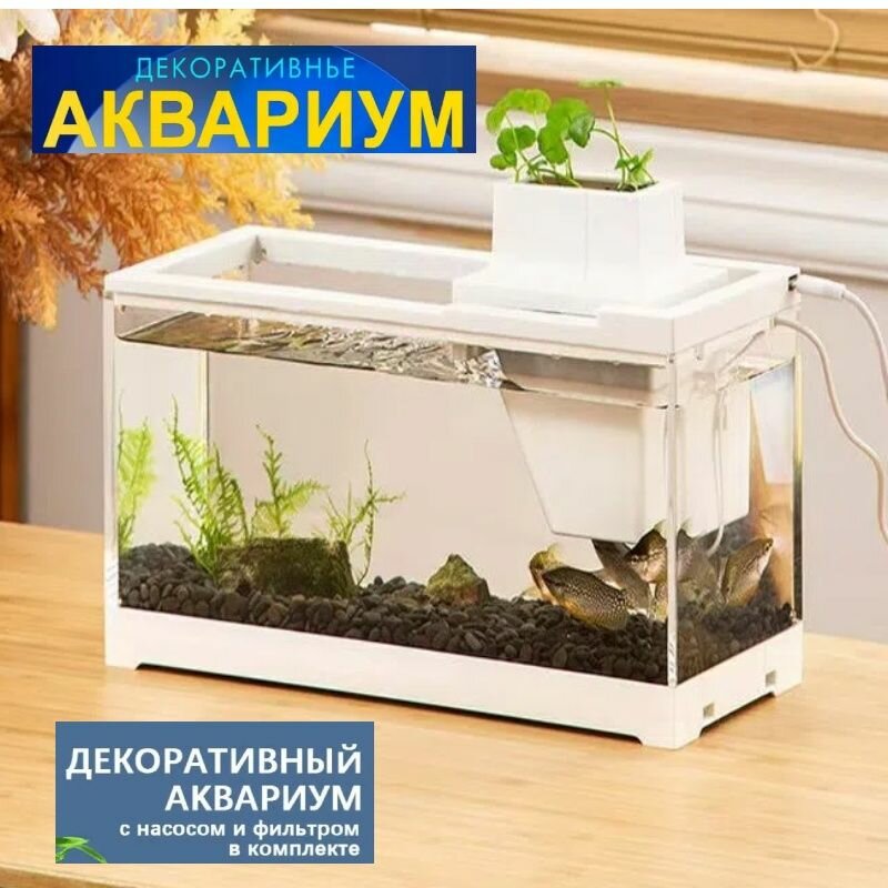 Экологический Аквариум С Фильтрующим Насосом