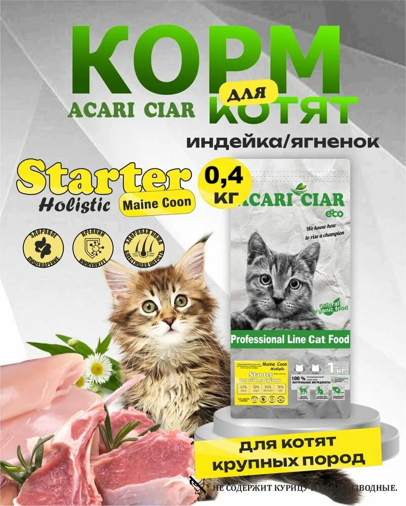 Сухой корм для котят Acari Ciar Starter 0,4 кг Main-Coon гранула Holistic