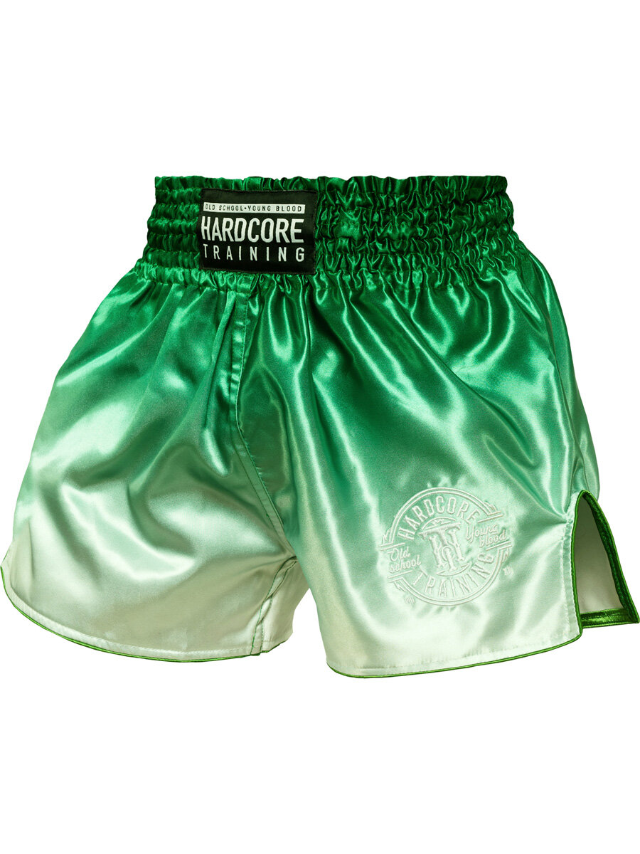 Шорты спортивные Gradient