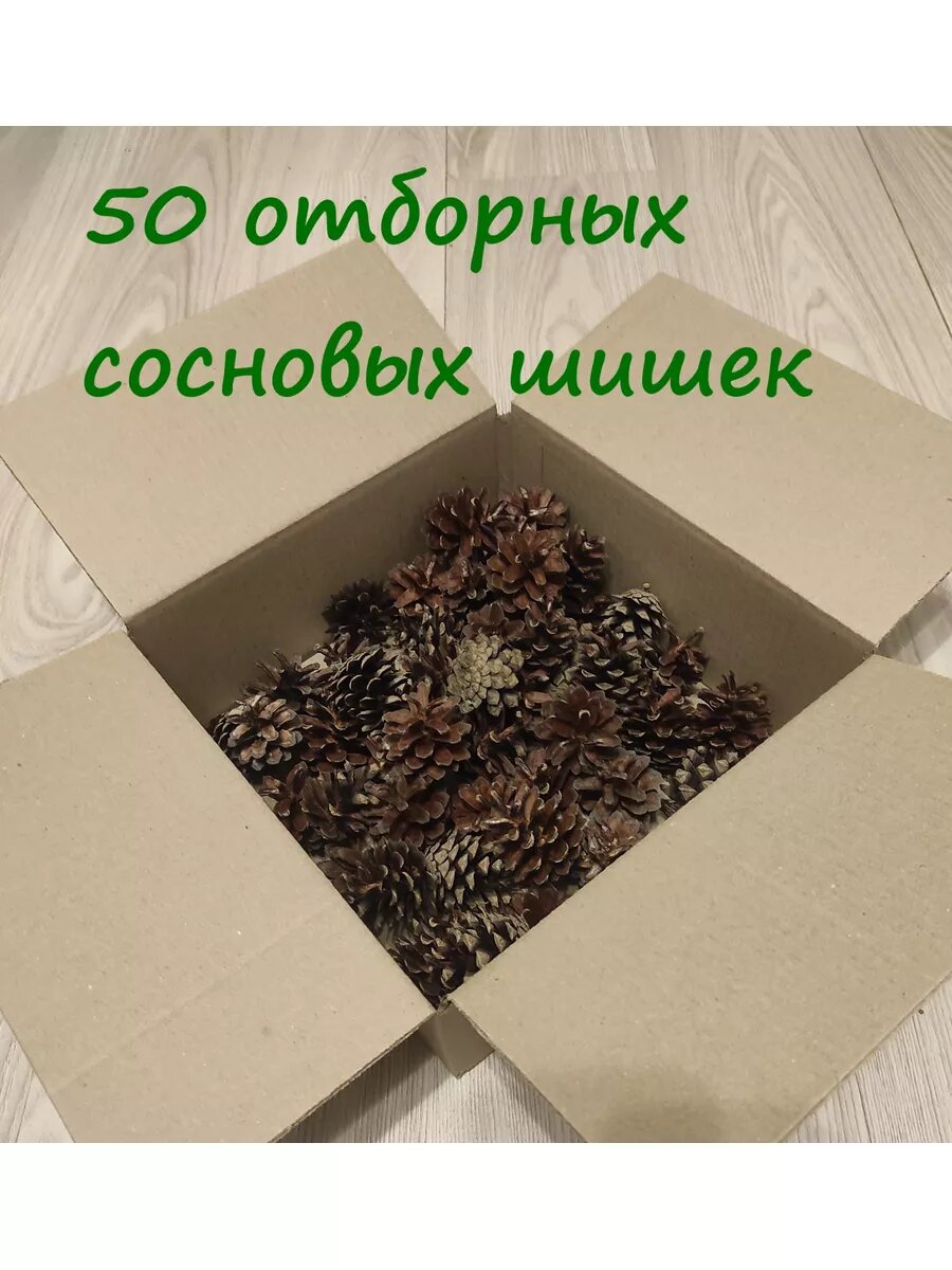 Сосновые шишки