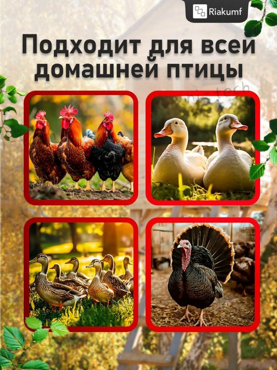 Перосъемная машина — фото 1