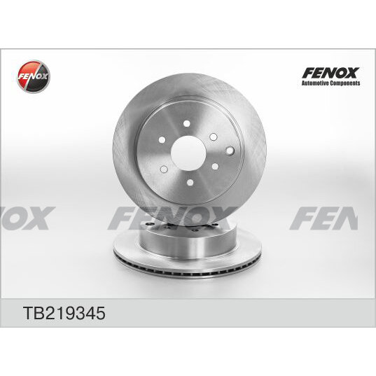 Диск тормозной задний для автомобиля Nissan, FENOX TB219345 (2 шт.)