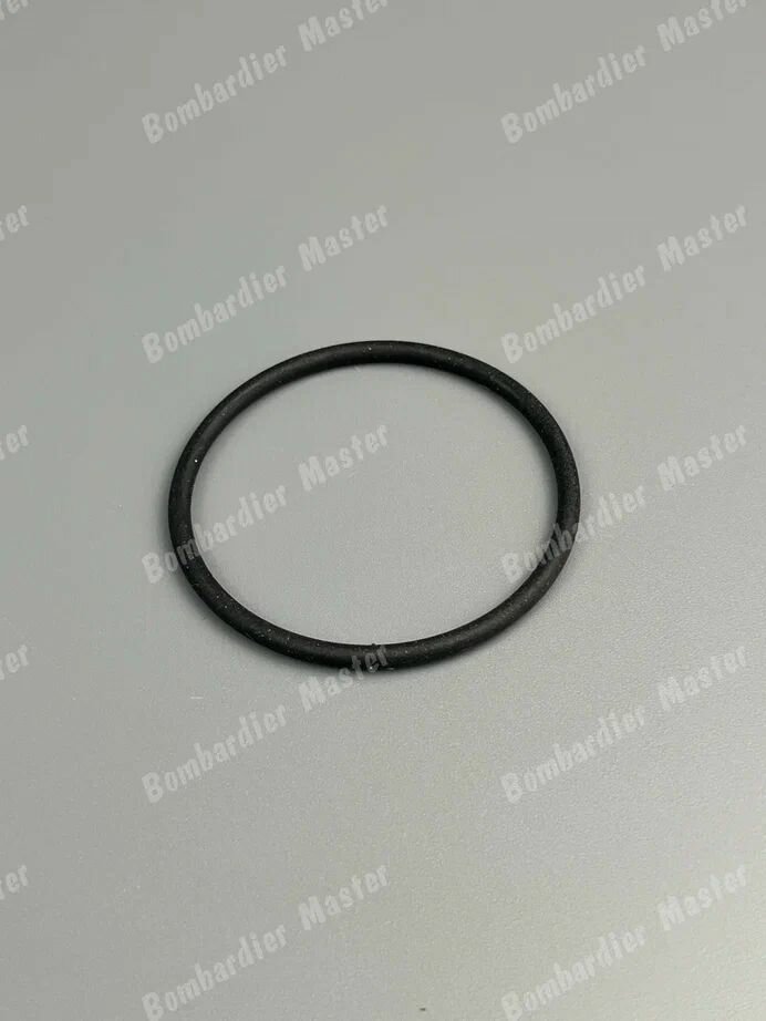 Кольцо уплотнительное 293300090