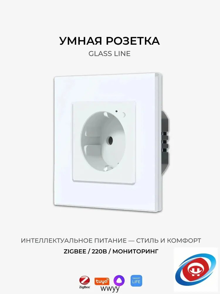 Умная розетка Zigbee встраиваемая, белая, с мониторингом