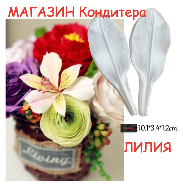 Вайнер "Лилия 03"