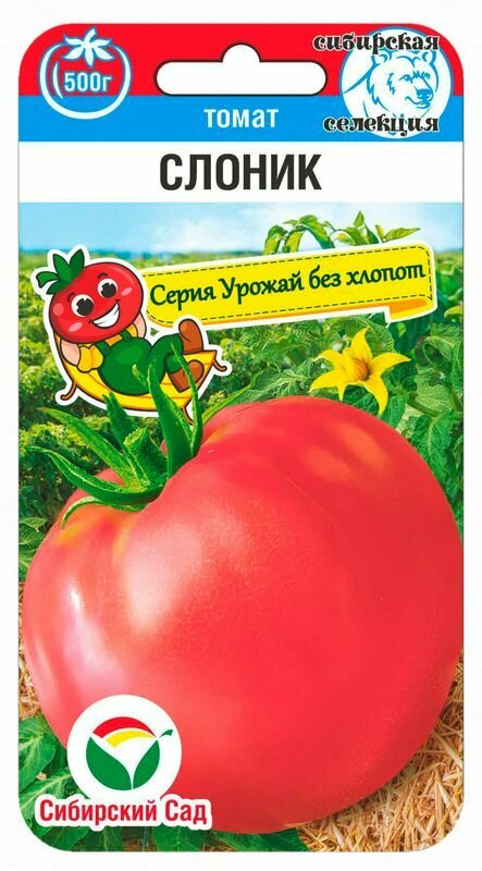 Томат Слоник (3 упаковки), семена