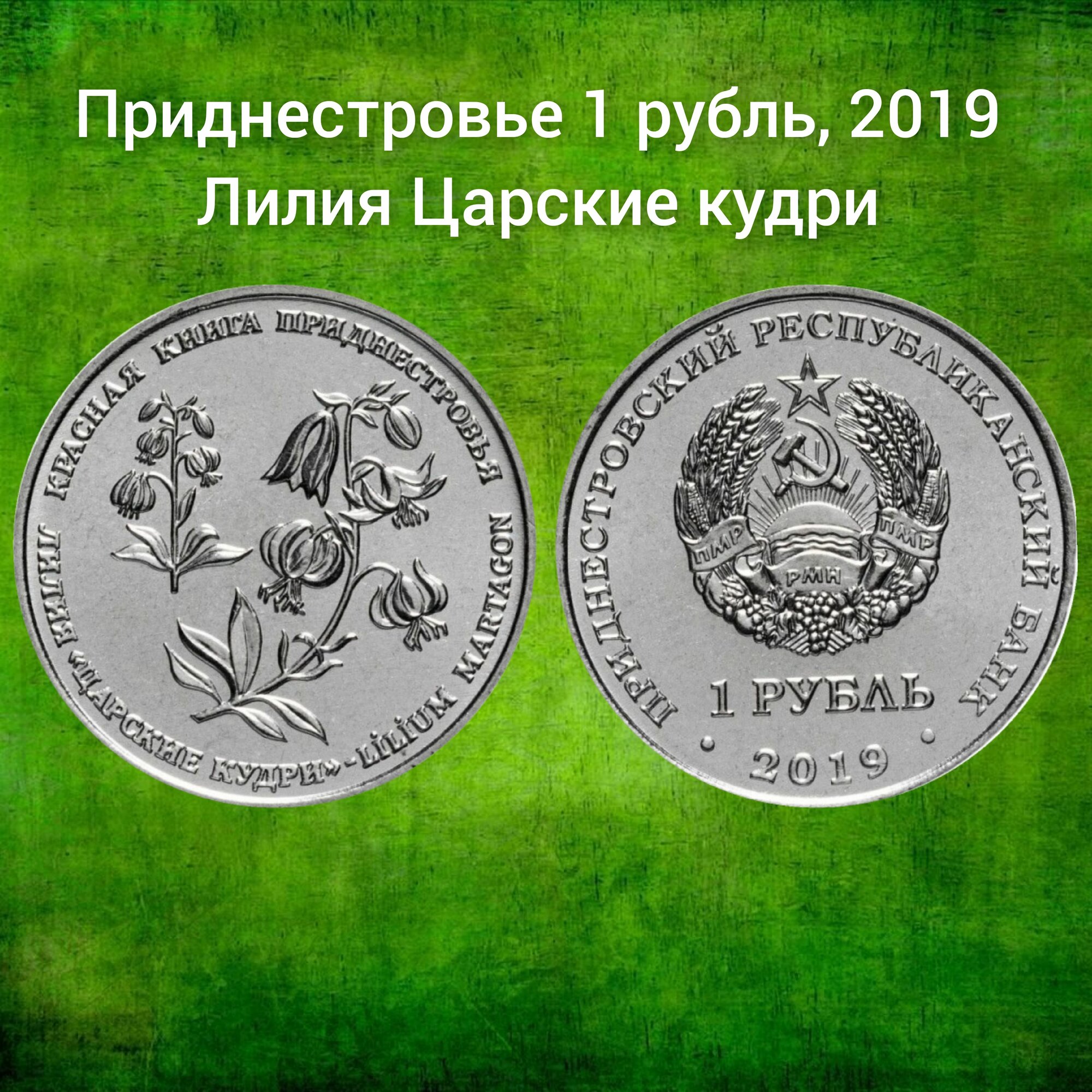 Приднестровье 1 рубль, 2019 Красная книга - Лилия Царские кудри