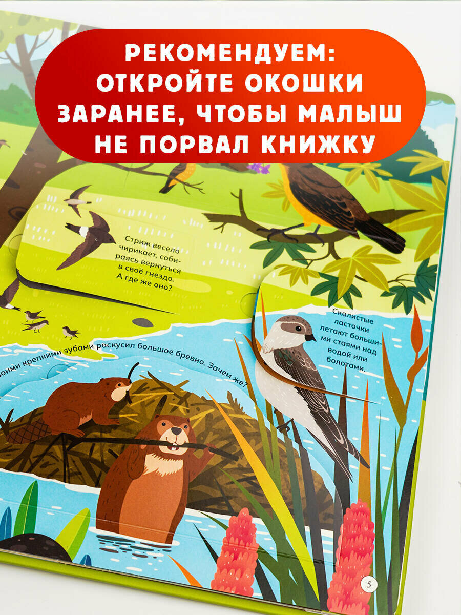 Энциклопедия для детей о животных и птицах "Животные и птицы" книга от издательства АСТ — фото 1