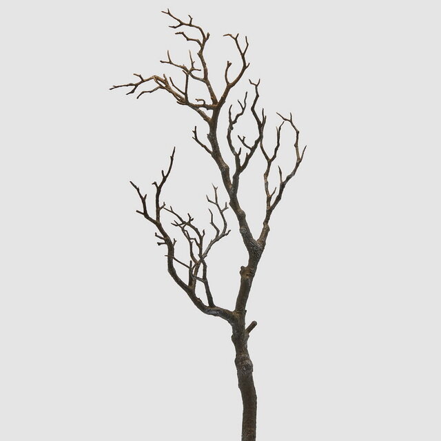 Искусственная ветка Branche Noire 69 см черная, EDG, 2300353A990