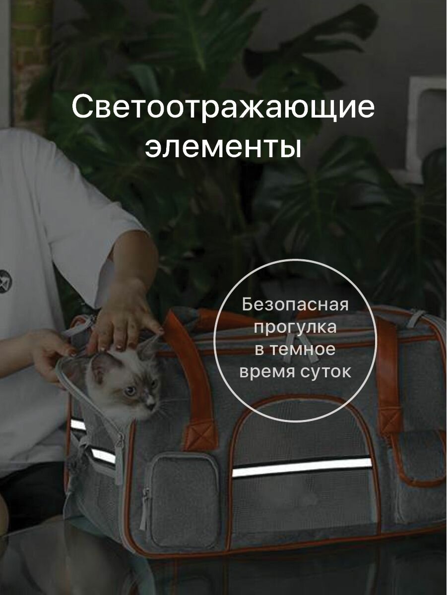 Переноска — фото 1