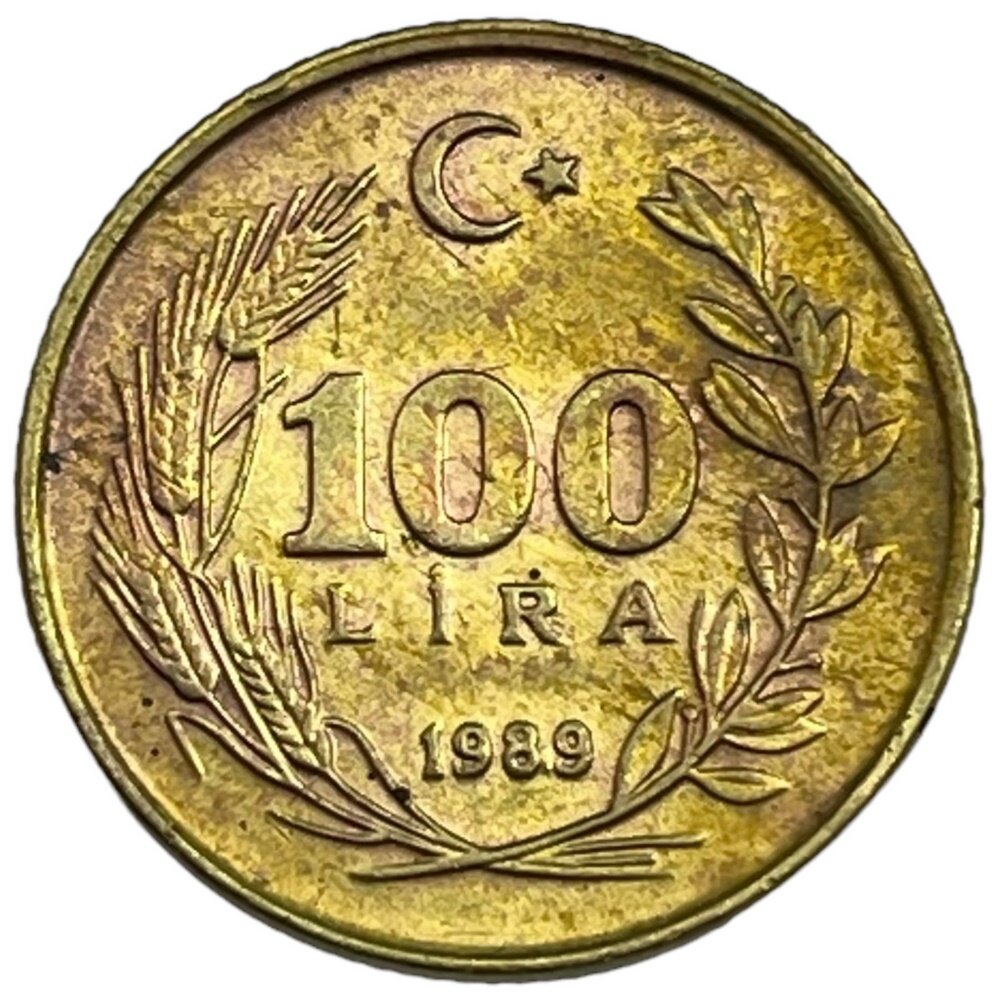 Турция 100 лир 1989 г.