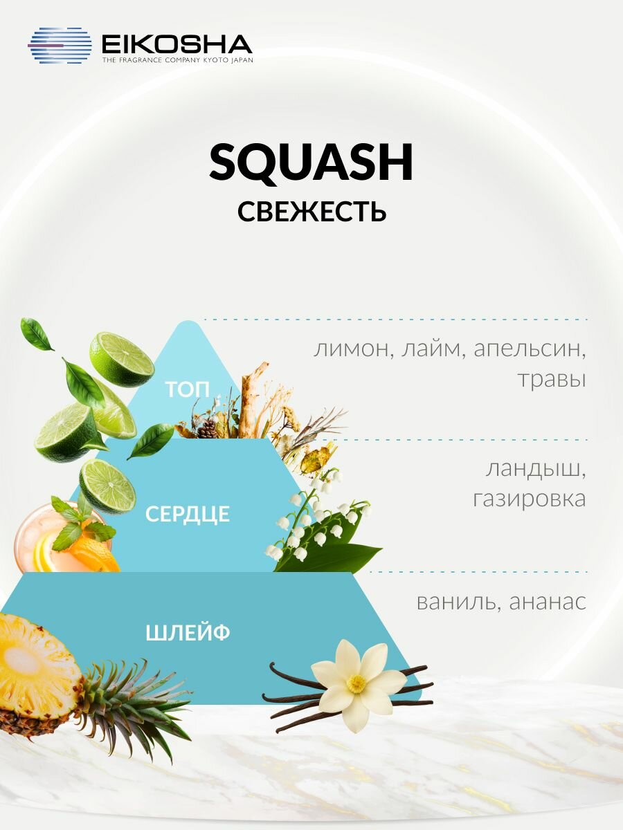 EIKOSHA ароматизатор для машины и дома меловой Spirit Refill R90 - SQUASH / свежесть, автомобильный парфюм, арт. A-203