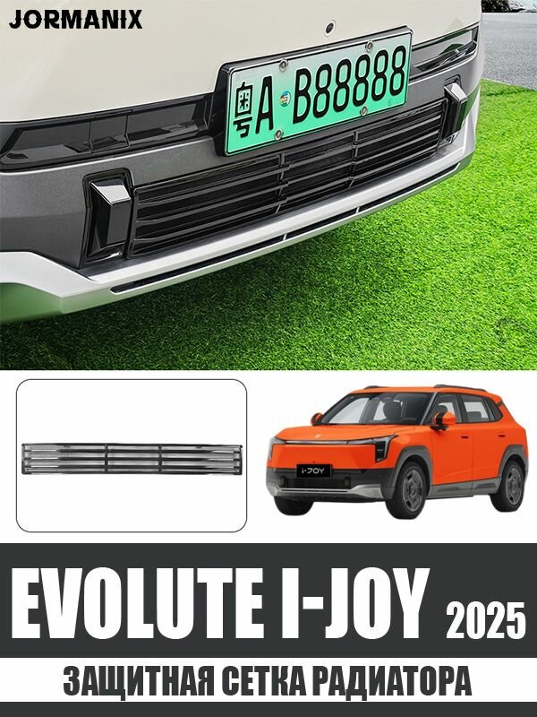 Защитная сетка радиатора Evolute i-JOY, Evolute i-JOY 2025 аксессуары