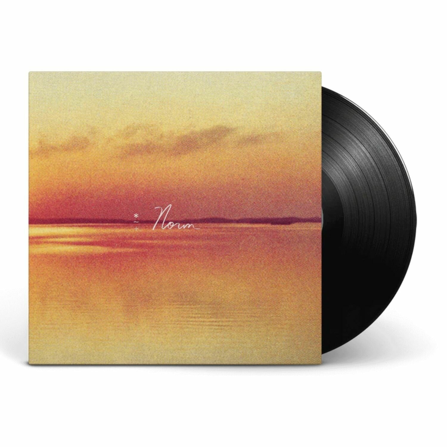 Виниловая пластинка Andy Shauf - Norm, Vinyl, LP, Album
