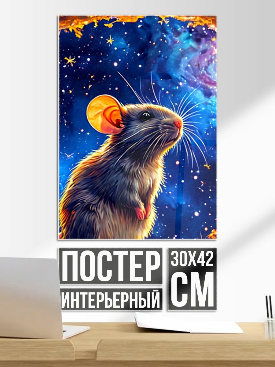 Постер на стену Крыса и космическое небо