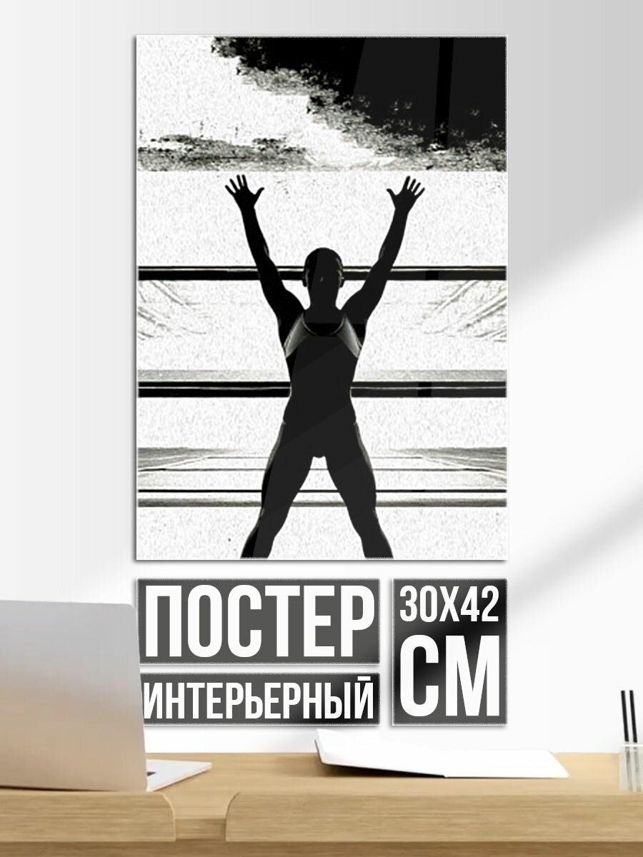 Постер на стену Спортивная гимнастика и перекладины