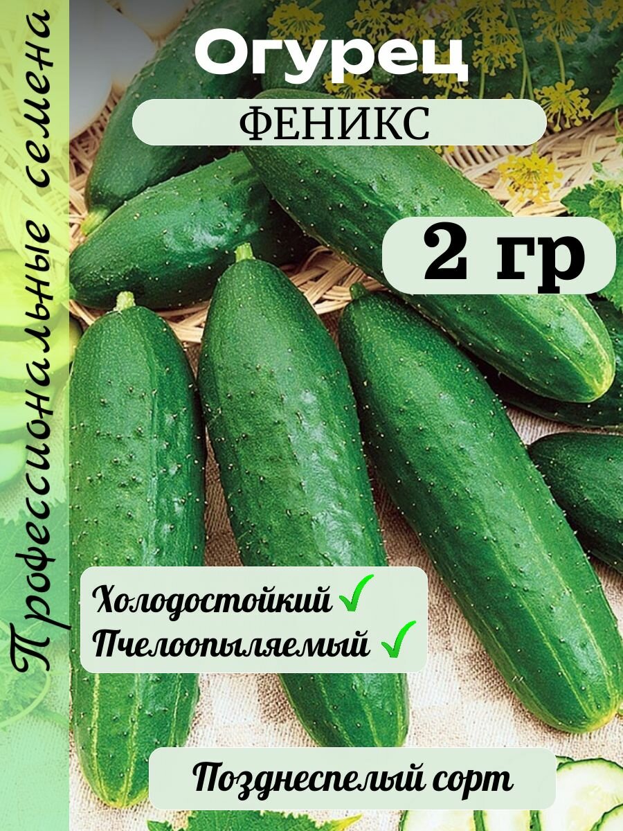 Семена Огурец Феникс холодостойкий пчелоопыляемый 2 гр
