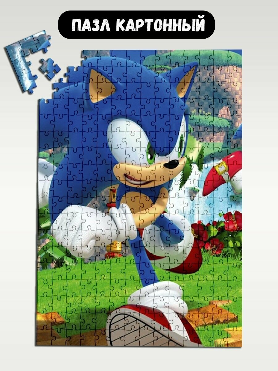 Пазл картонный А3: модель игра sonic generations - 1201
