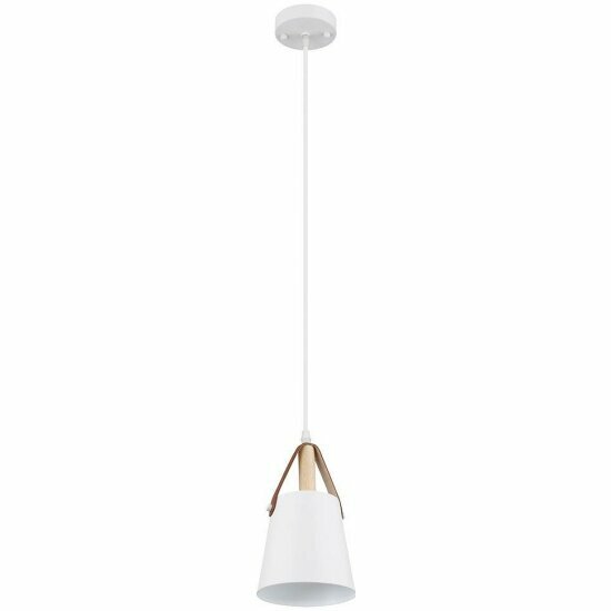 Подвесной светильник Arte Lamp THOMAS A7032SP-1WH