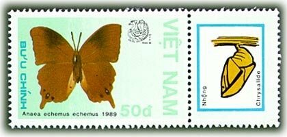 (1989-005) Марка + купон Вьетнам "Листовертка каштана" Бабочки III