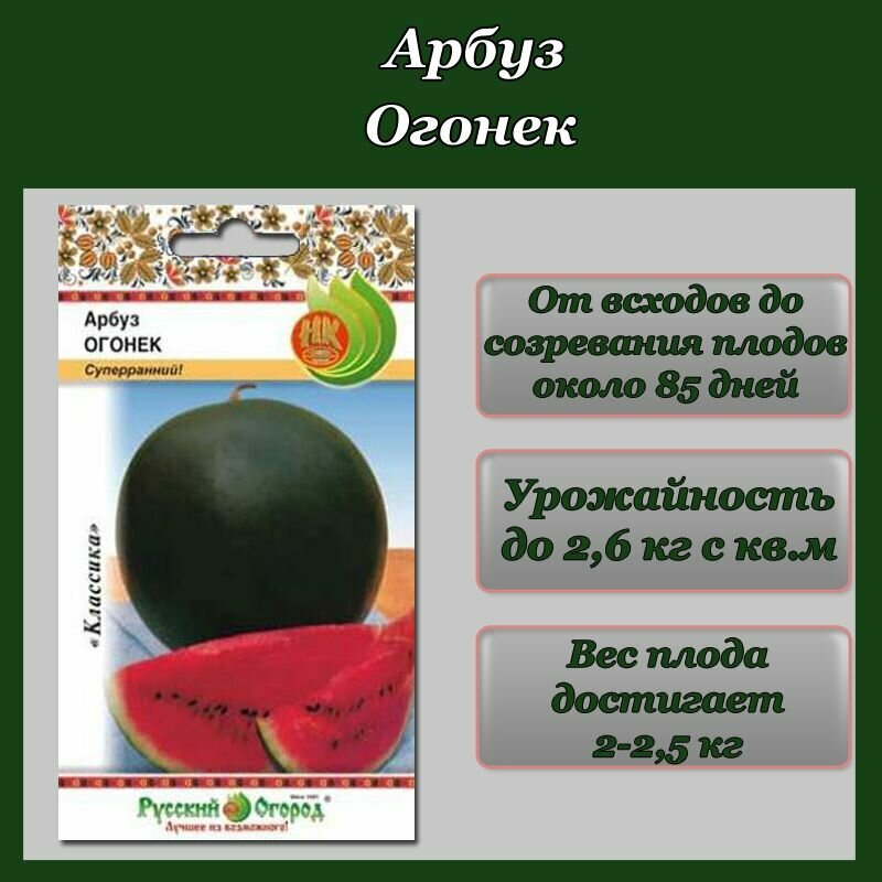 Арбуз Огонек (1 упаковка-1гсемян)
