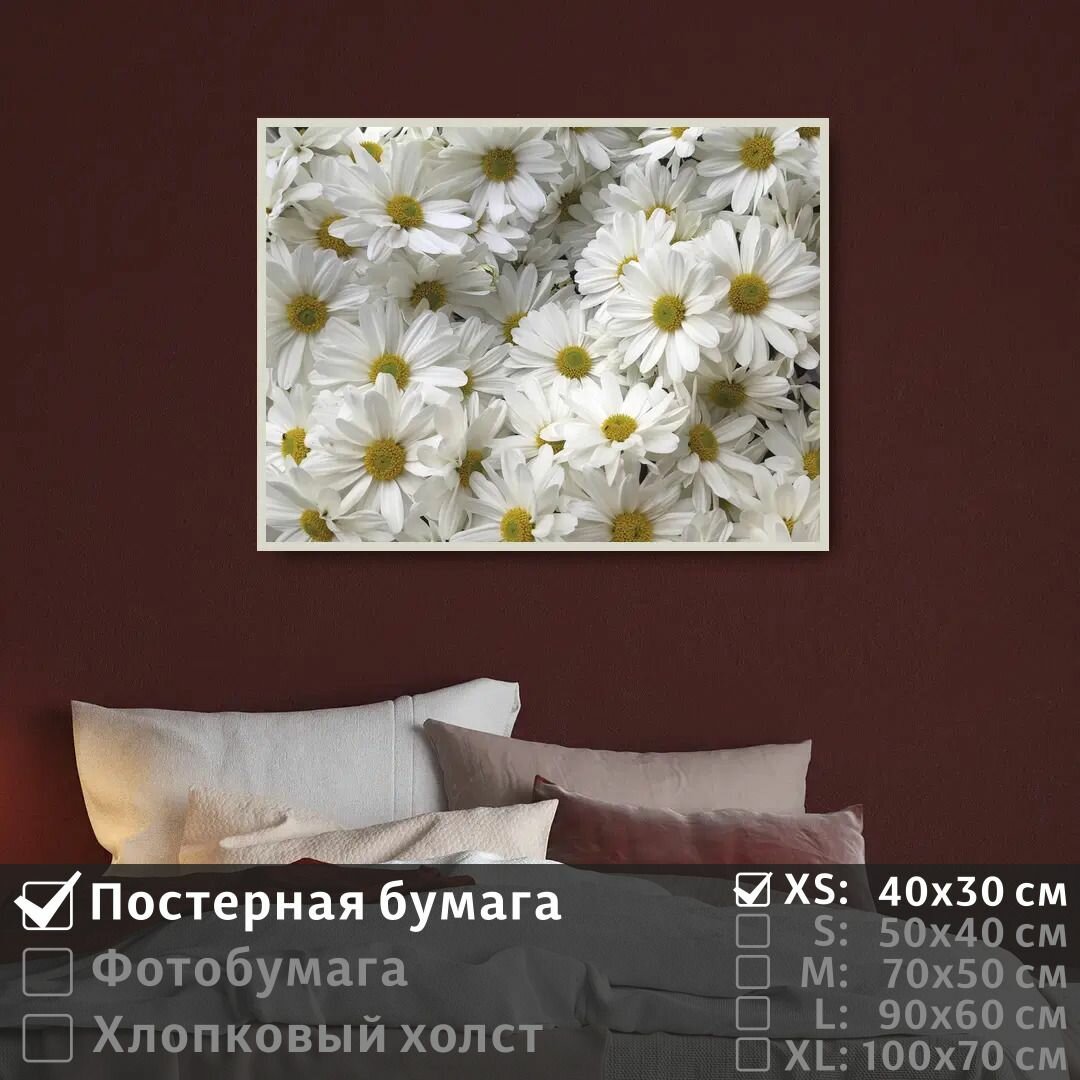 Постер на стену Белые Цветы Ромашки 40х30 см ПолиЦентр