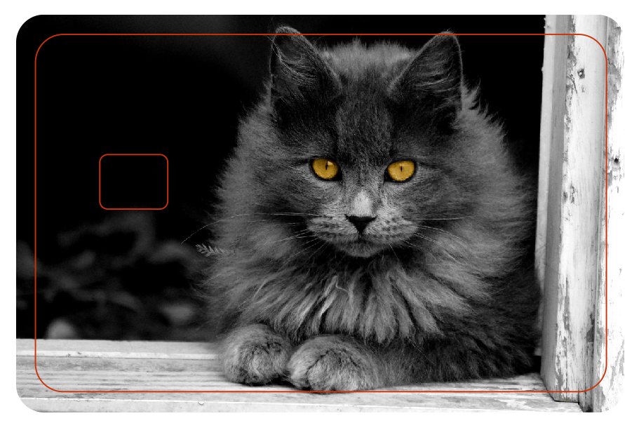 Наклейка на банковскую карту, стикер на карту, сибирский кот