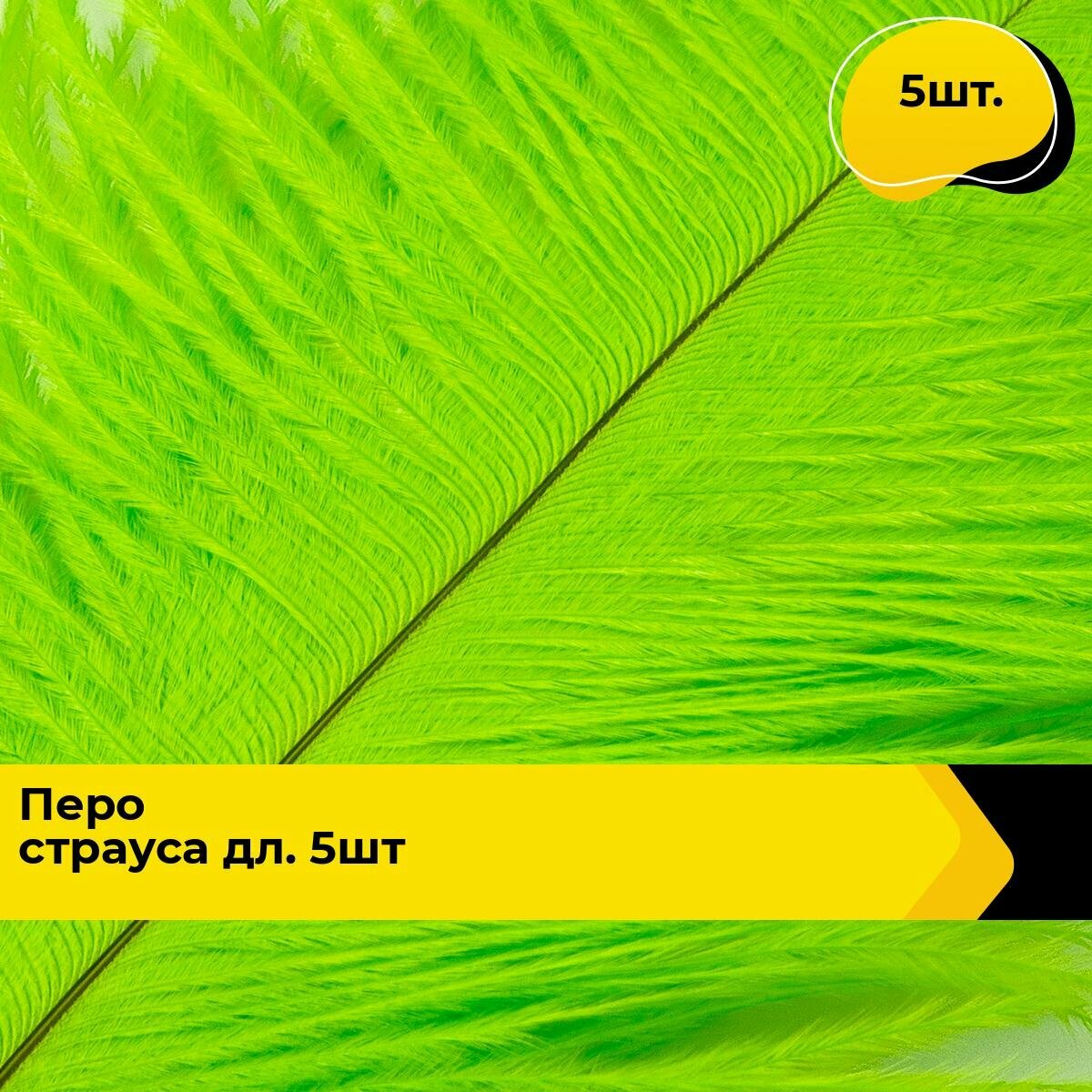 Перья перо для рукоделия и шитья, 5 шт.