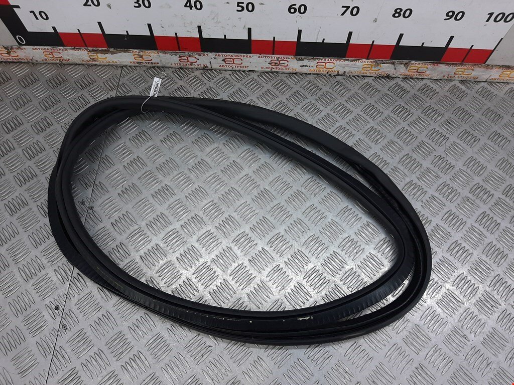 Уплотнитель двери BMW 7-Series (F01/F02) 51357178016 арт. 653199