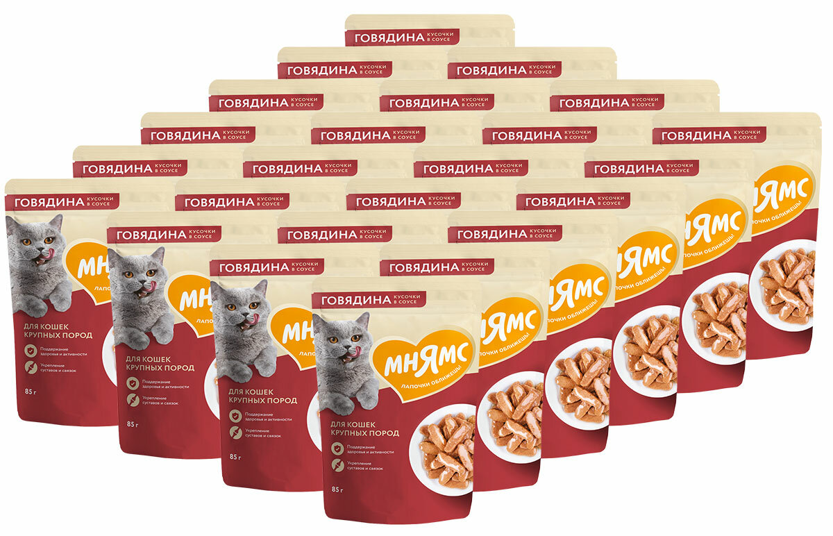 Мнямс для взрослых кошек крупных пород с говядиной в соусе пауч 85 гр х 24 шт