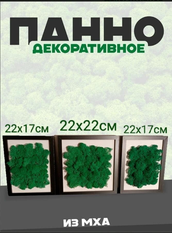 Панно декоративное из стабилизированного мха, панно настенное со мхом