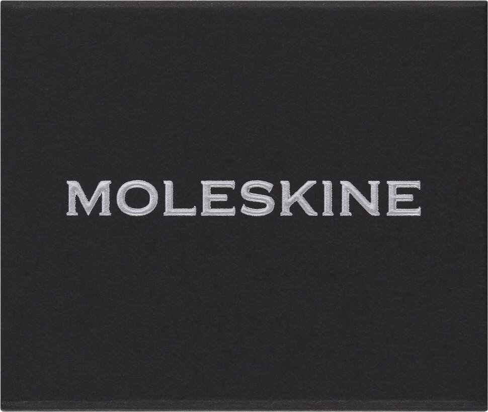 Шильд-символ Moleskine Zodiac Дева металл серебристый коробка с европод. PINVIRGOSILV — фото 1