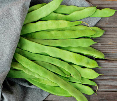 Семена фасоли Мечта Хозяйки (овощная, спаржевая) 5 гр.