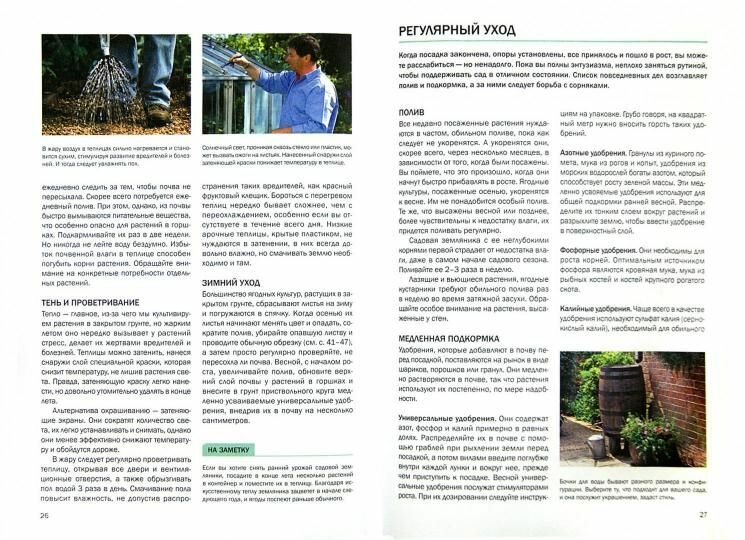 Книга Амфора Ягоды. 2011 год, Титчмарш А.