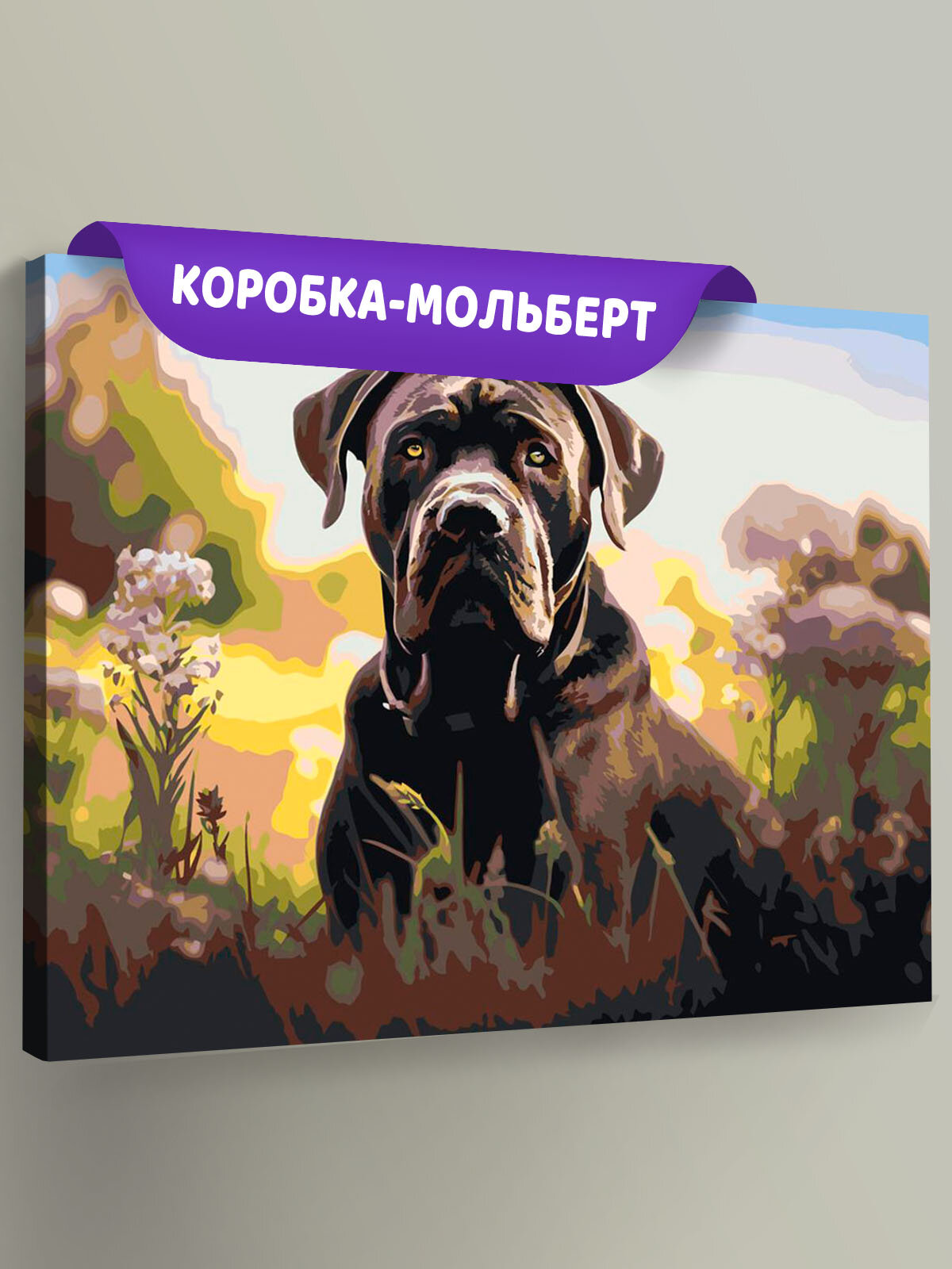 Картина по номерам на холсте с подрамником "Собака Кане корсо на цветущем лугу" Раскраска 40х50 см, Природа Животные