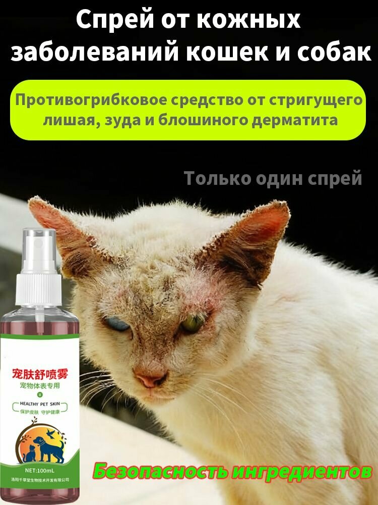 Спрей для собак и кошек от кожных заболеваний , против грибка, лишая, зуда и блошиного дерматита. Заживляющий, антибактериальный, 100 мл