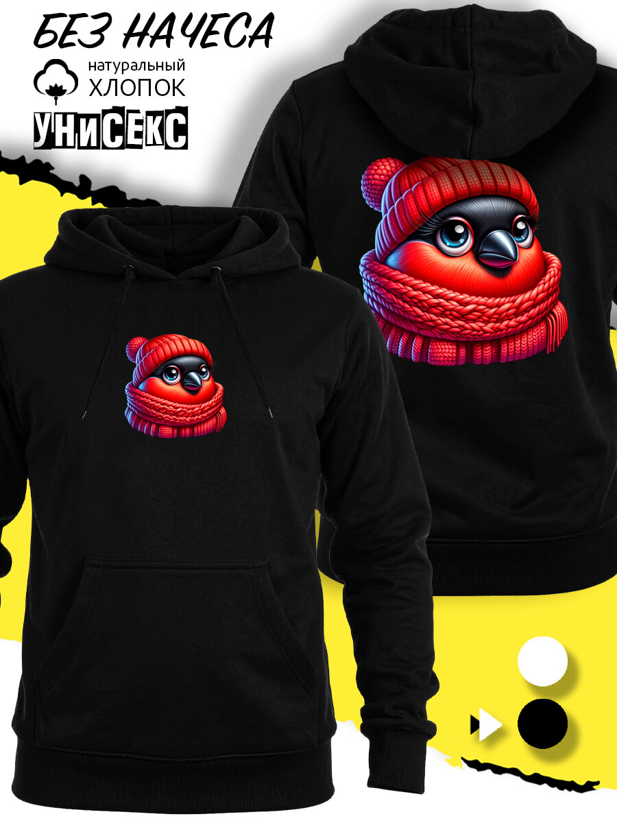 Худи Толстовка свитшот снегирь