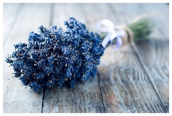 Набор алмазной вышивки "Пучок лаванды", размер 50х35 см, 45 цветов