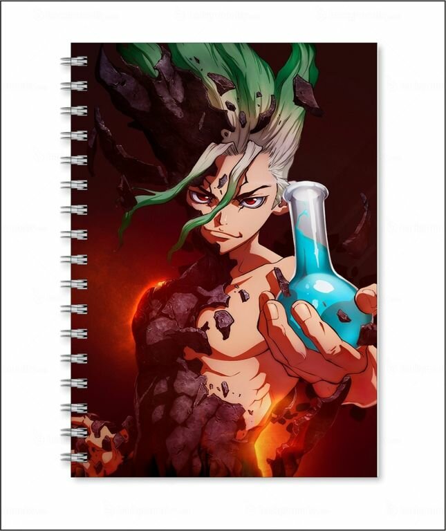 Тетрадь доктор стоун, DR. STONE №13, А6