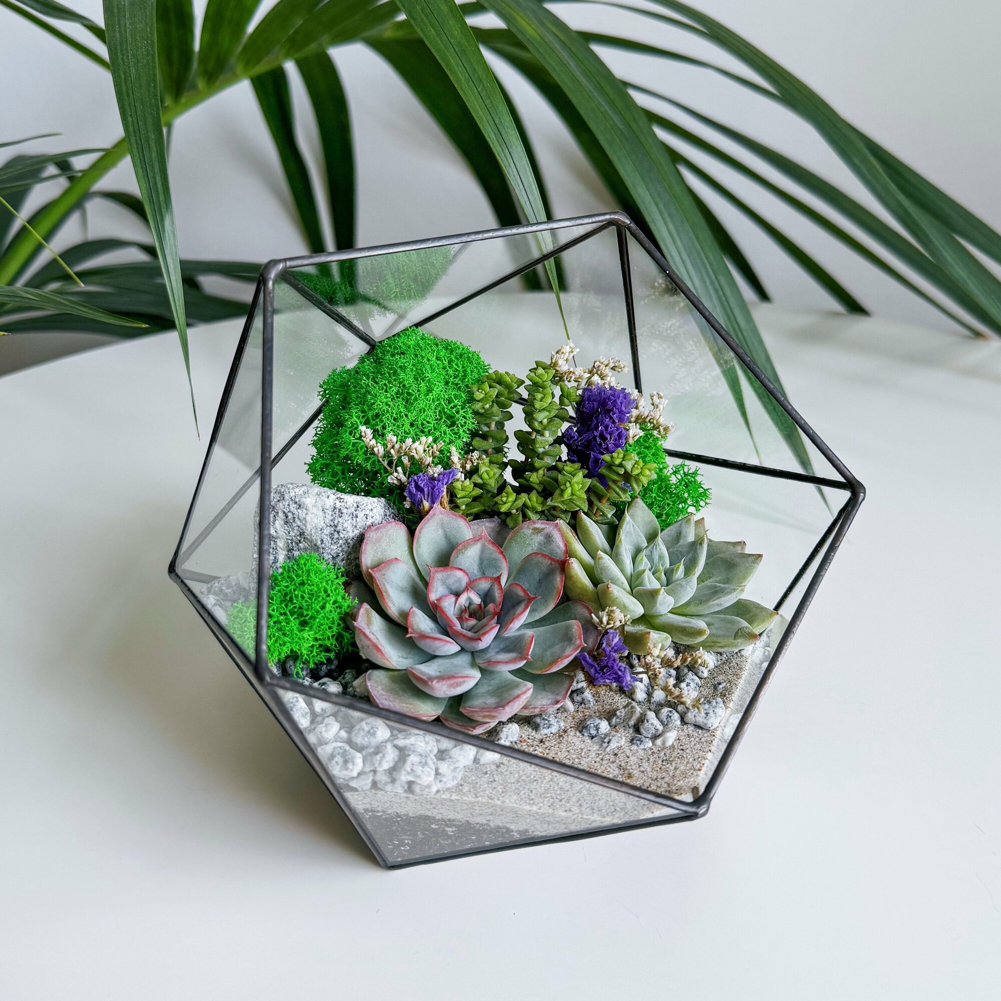 Флорариум с суккулентами и стабилизированным мхом Severinside