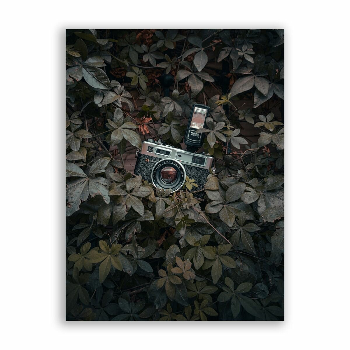 Постер, плакат на бумаге / Фотоаппараты / Размер 30 x 40 см