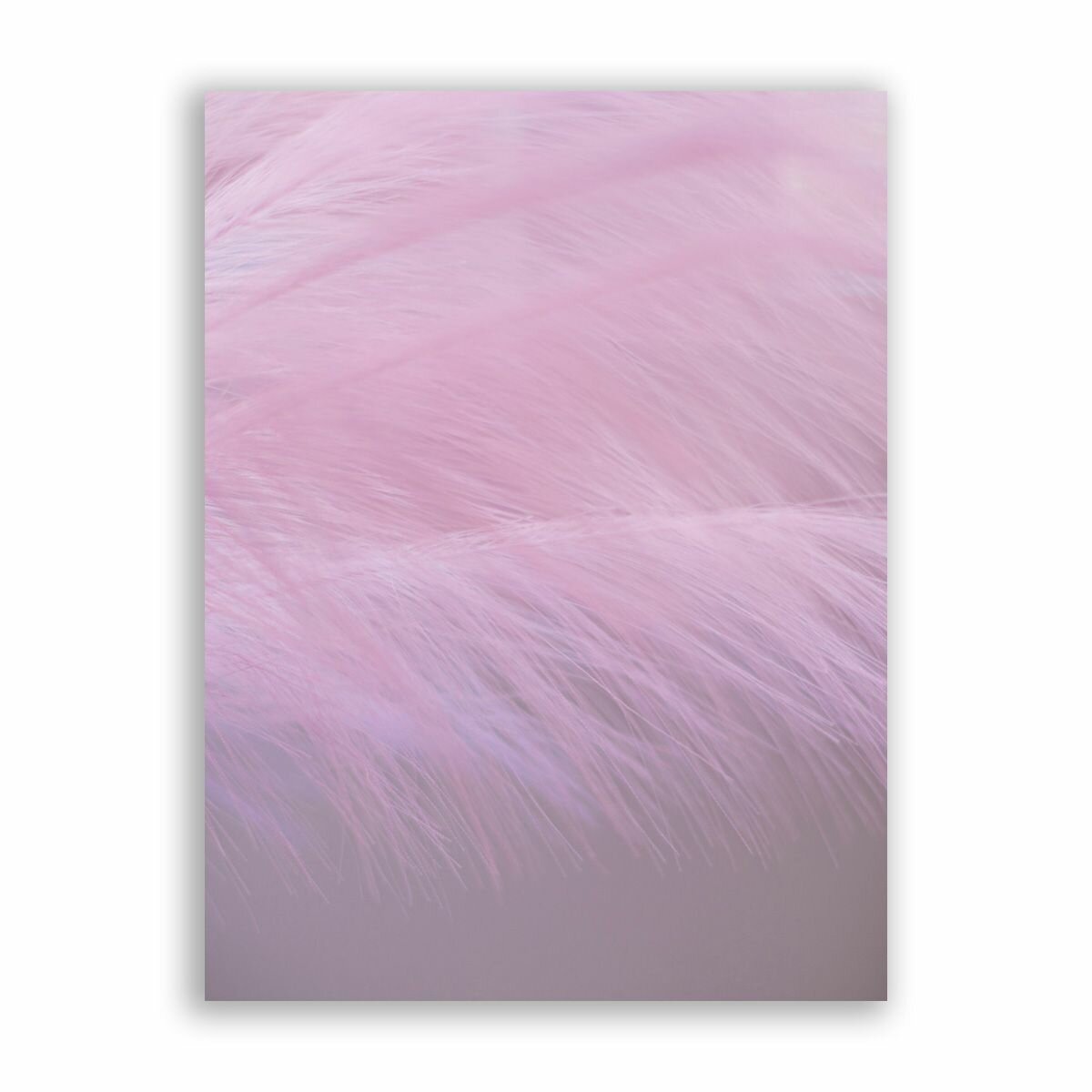 Постер, плакат на бумаге / Перо / Размер 80 x 106 см