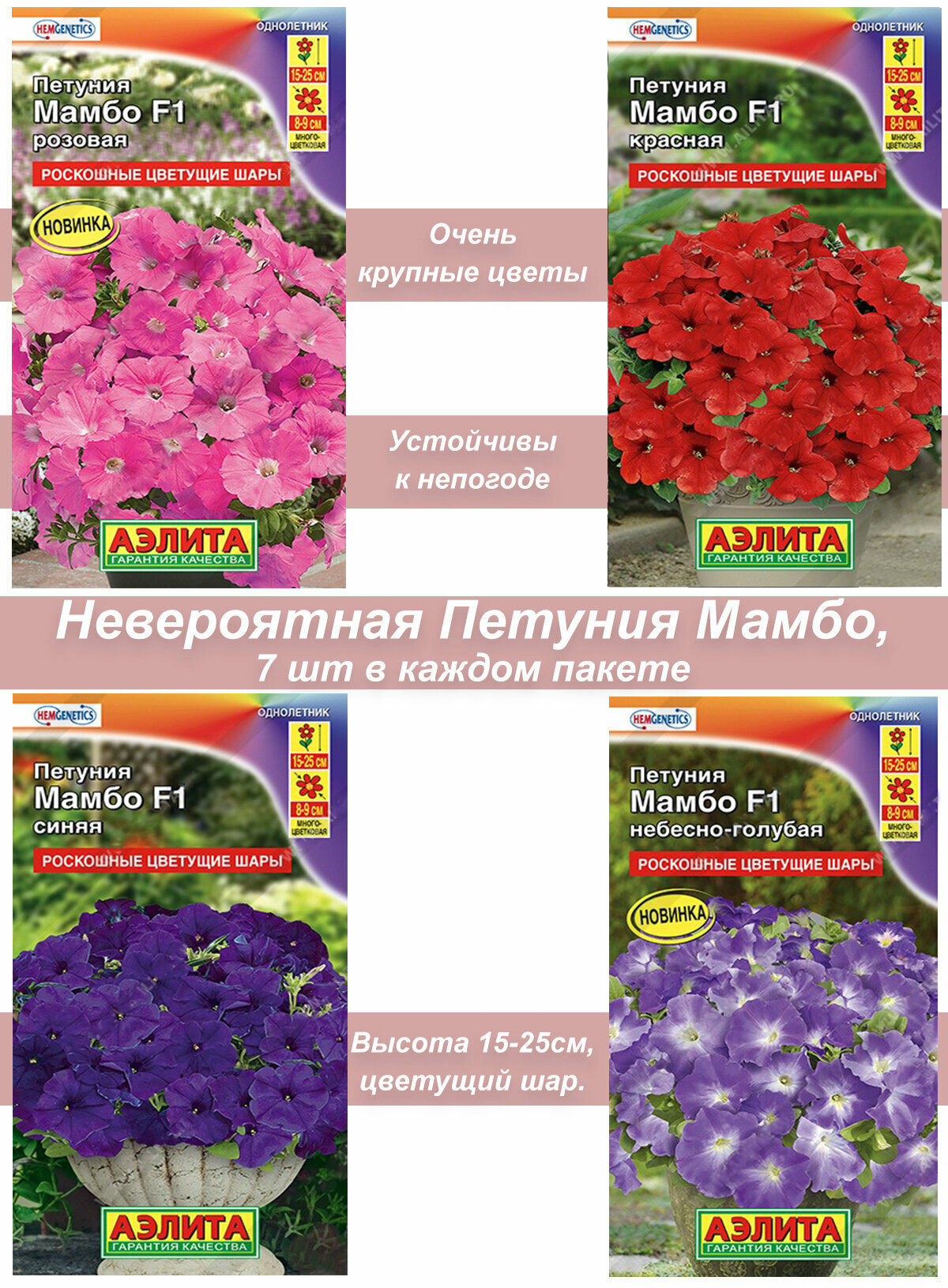 Набор семян, семена цветов компактная гибридная Петуния Мамбо