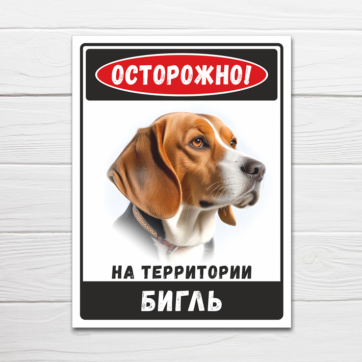 Табличка "Осторожно! На территории Бигль", 33х25 см, ПВХ