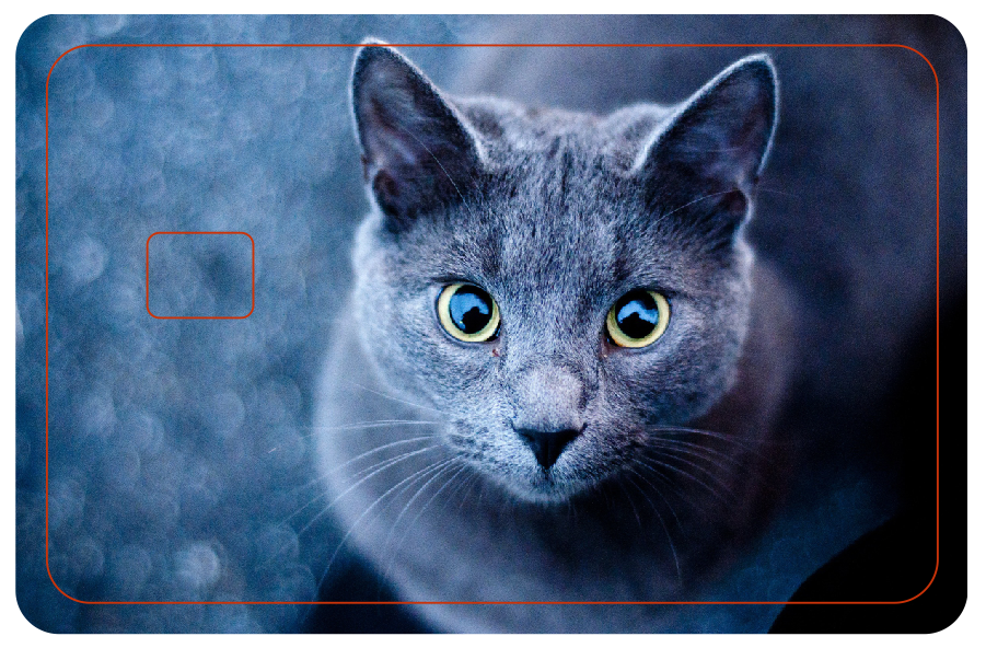 Наклейка на банковскую карту, стикер на карту, кошки